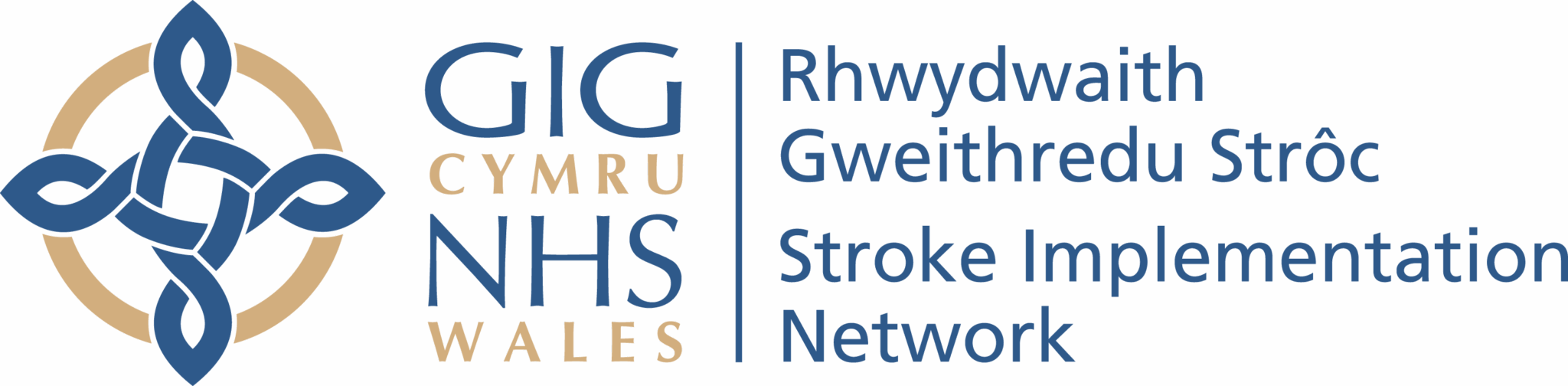 Stroke Technology Symposium 2025 - MediWales